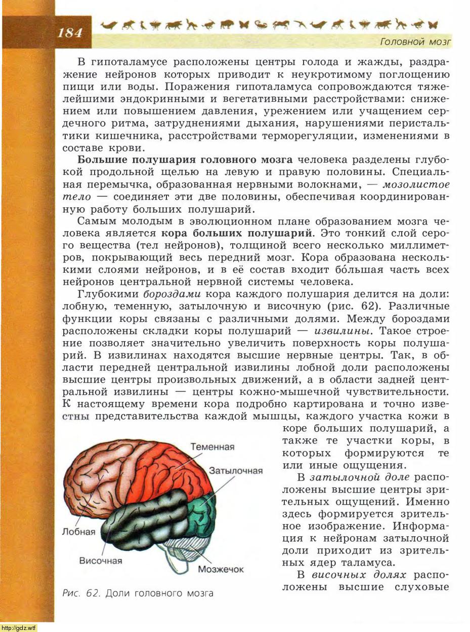 Биология за 8-ой класс - В.В.Пасечник, А.А. Каменский. Биология. Линия ...