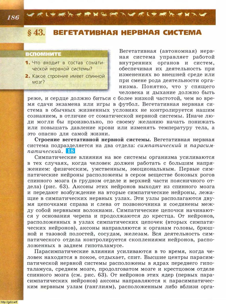 Биология за 8-ой класс - В.В.Пасечник, А.А. Каменский. Биология. Линия ...