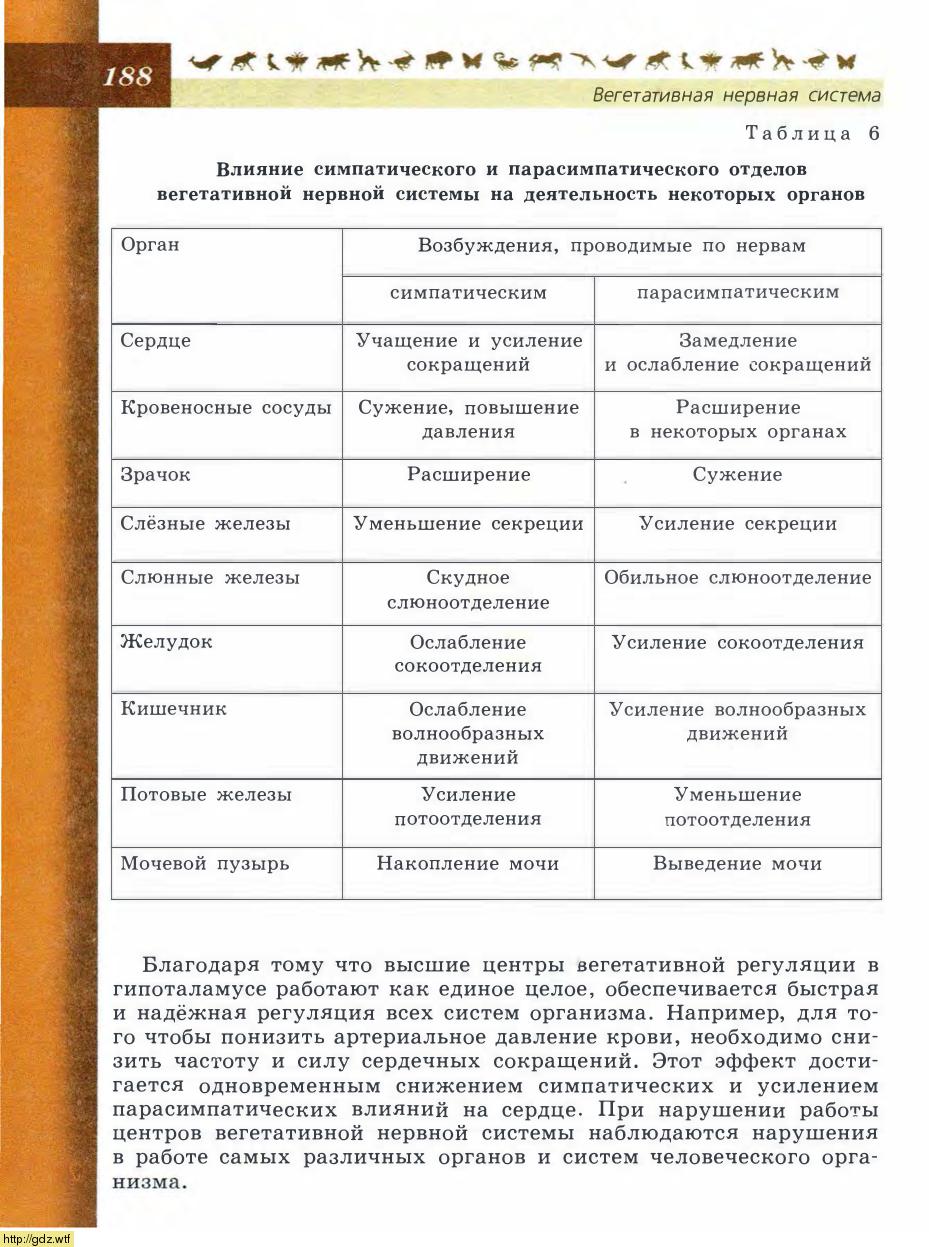 Биология за 8-ой класс - В.В.Пасечник, А.А. Каменский. Биология. Линия ...