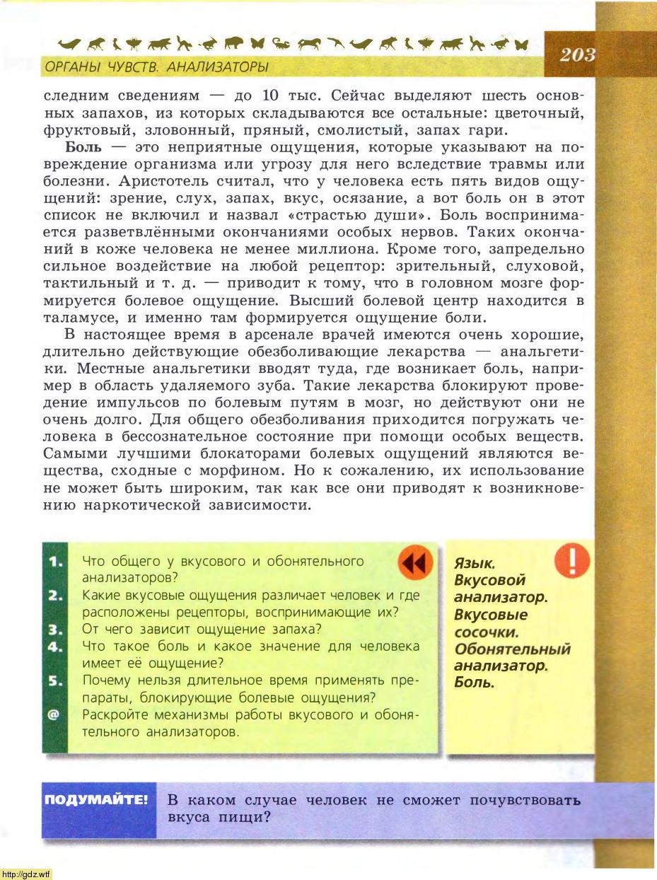 Биология за 8-ой класс - В.В.Пасечник, А.А. Каменский. Биология. Линия ...