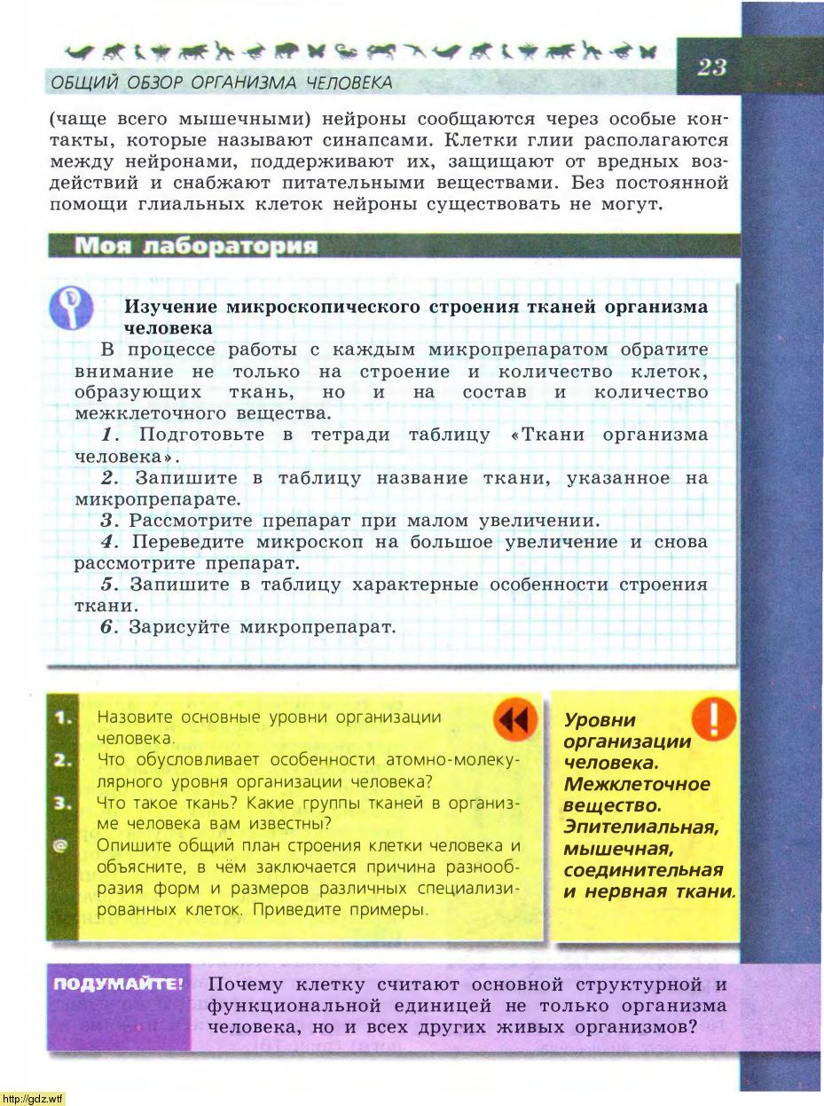 Биология за 8-ой класс - В.В.Пасечник, А.А. Каменский. Биология. Линия ...