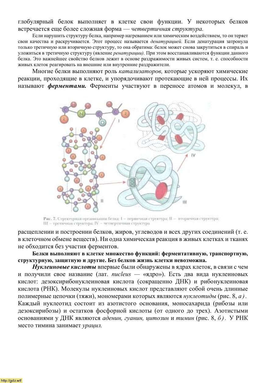 Биология за 9-ый класс - И.Н. Пономарева, О.А. Корнилова. Основы общей ...