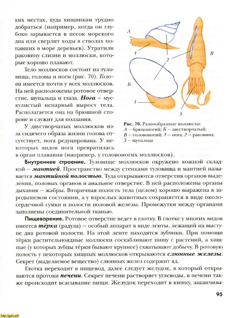 Биология за 7-ой класс - В.М. Константинов, В.Г. Бабенко. Биология 7-ой ...