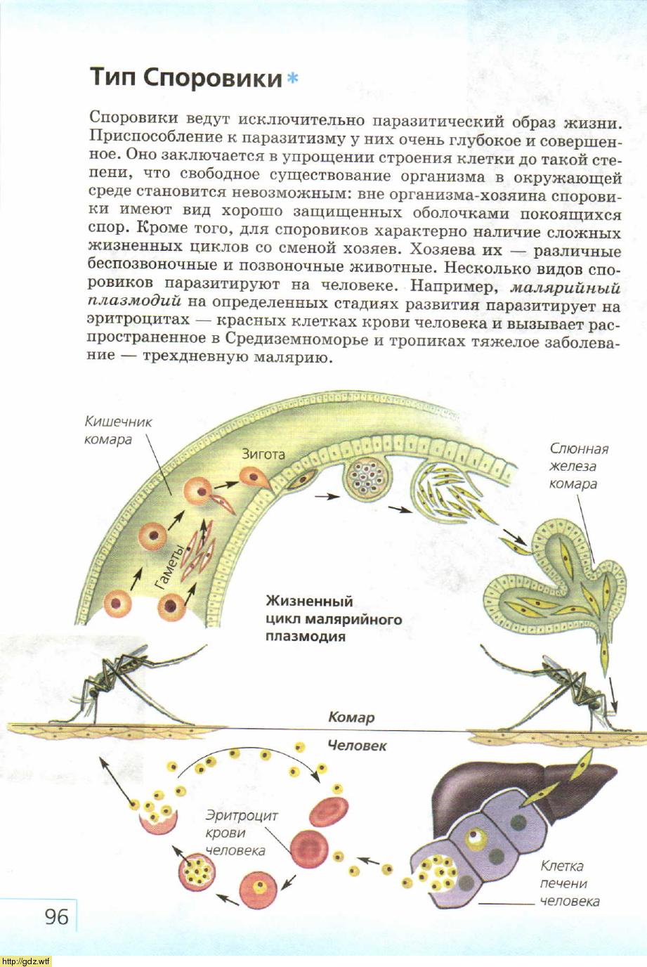 Биология за 7-ой класс - В.Б. Захаров, Н.И. Сонин. Биология ...