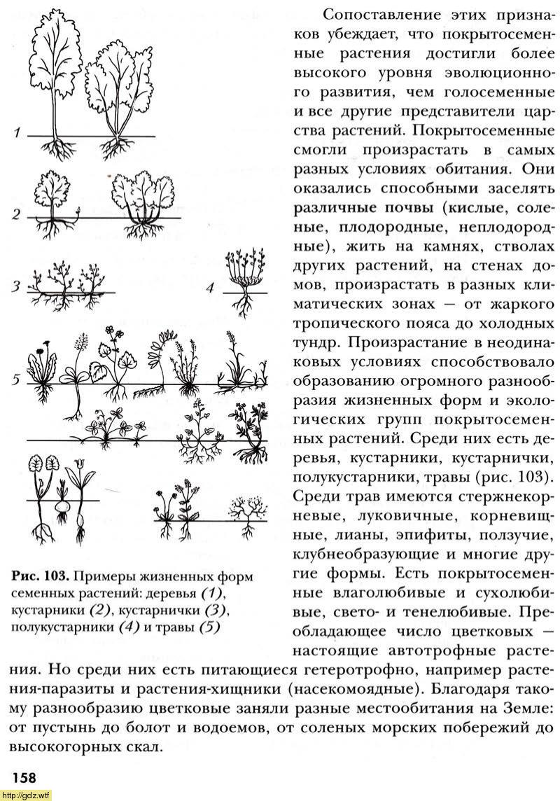 Биология за 6-ой класс - И.Н.Пономарева, О.А.Корнилова. Биология 6-ой ...