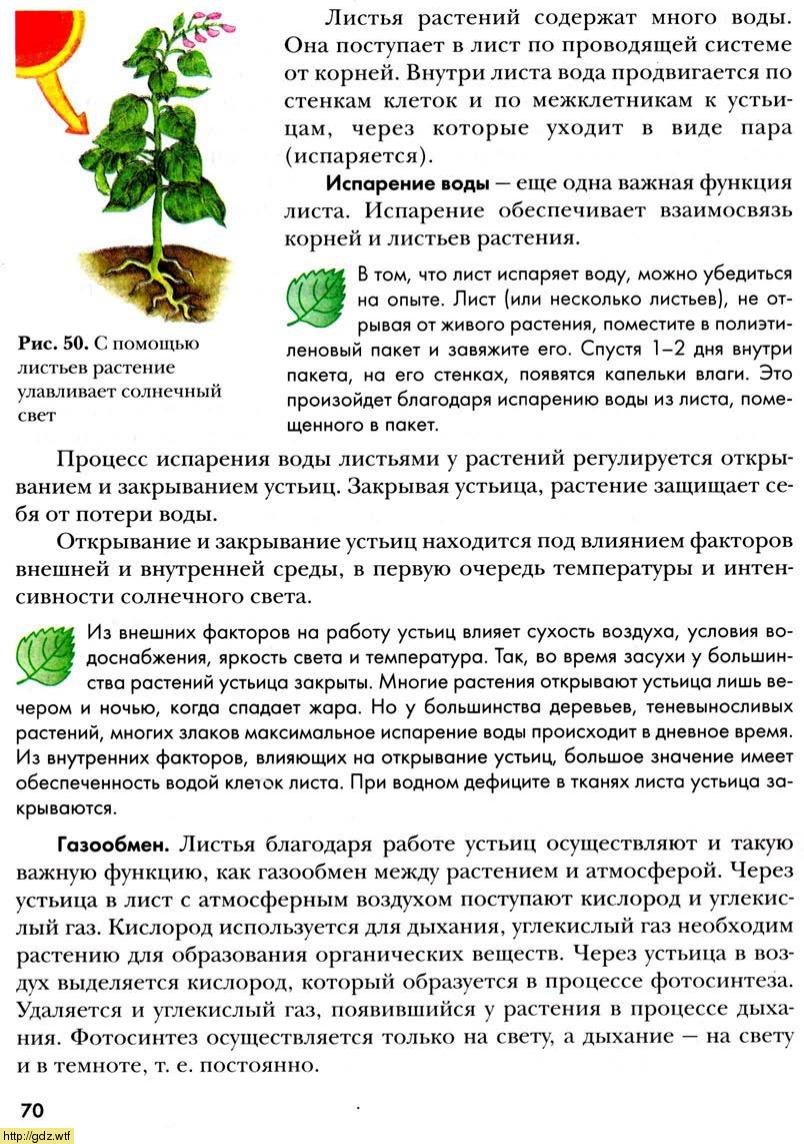 Биология за 6-ой класс - И.Н.Пономарева, О.А.Корнилова. Биология 6-ой ...
